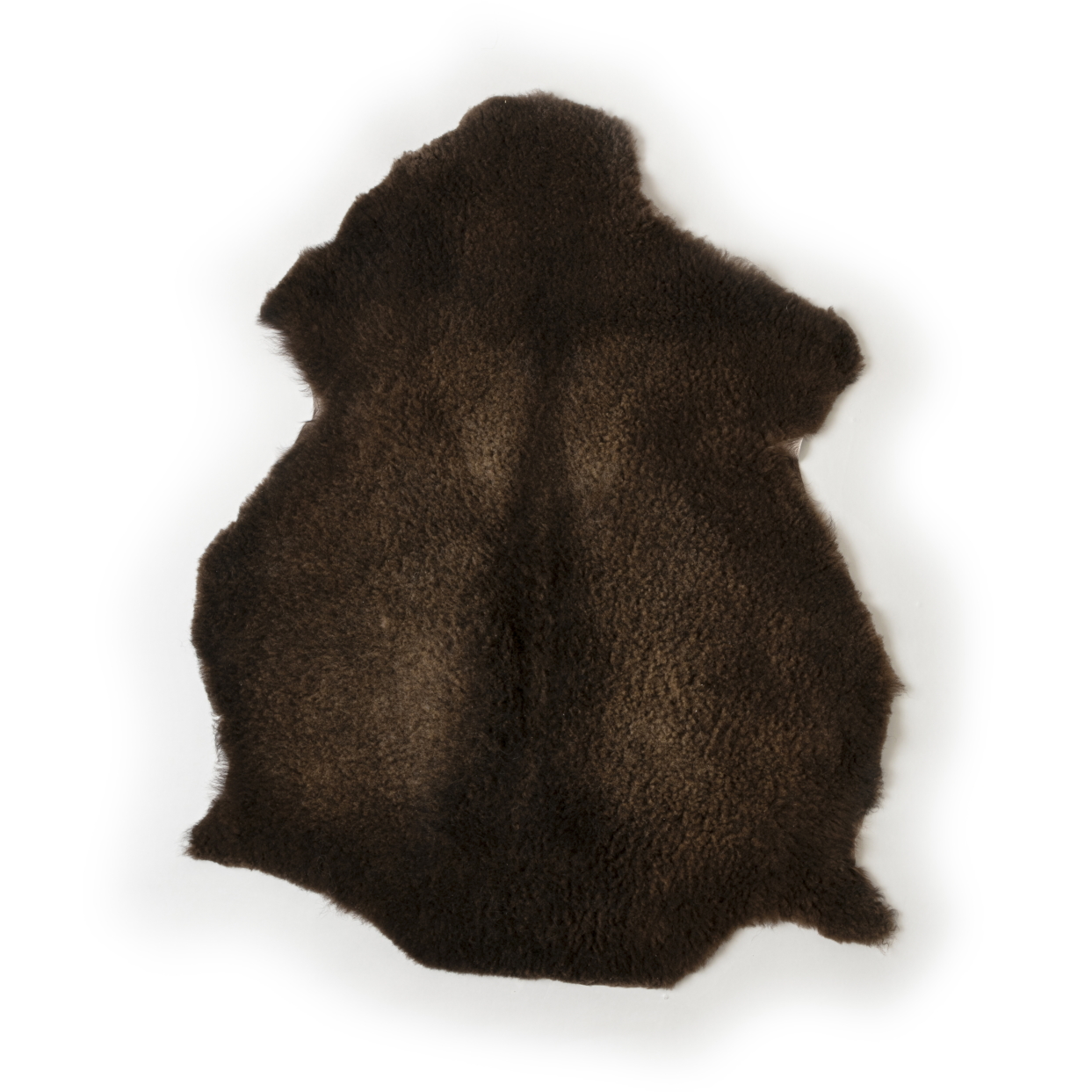 Sheared Sheepskin - Faroe Sheep